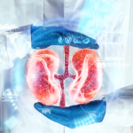 Kidney Screening Package | Yashoda Hospitals, Hitec City