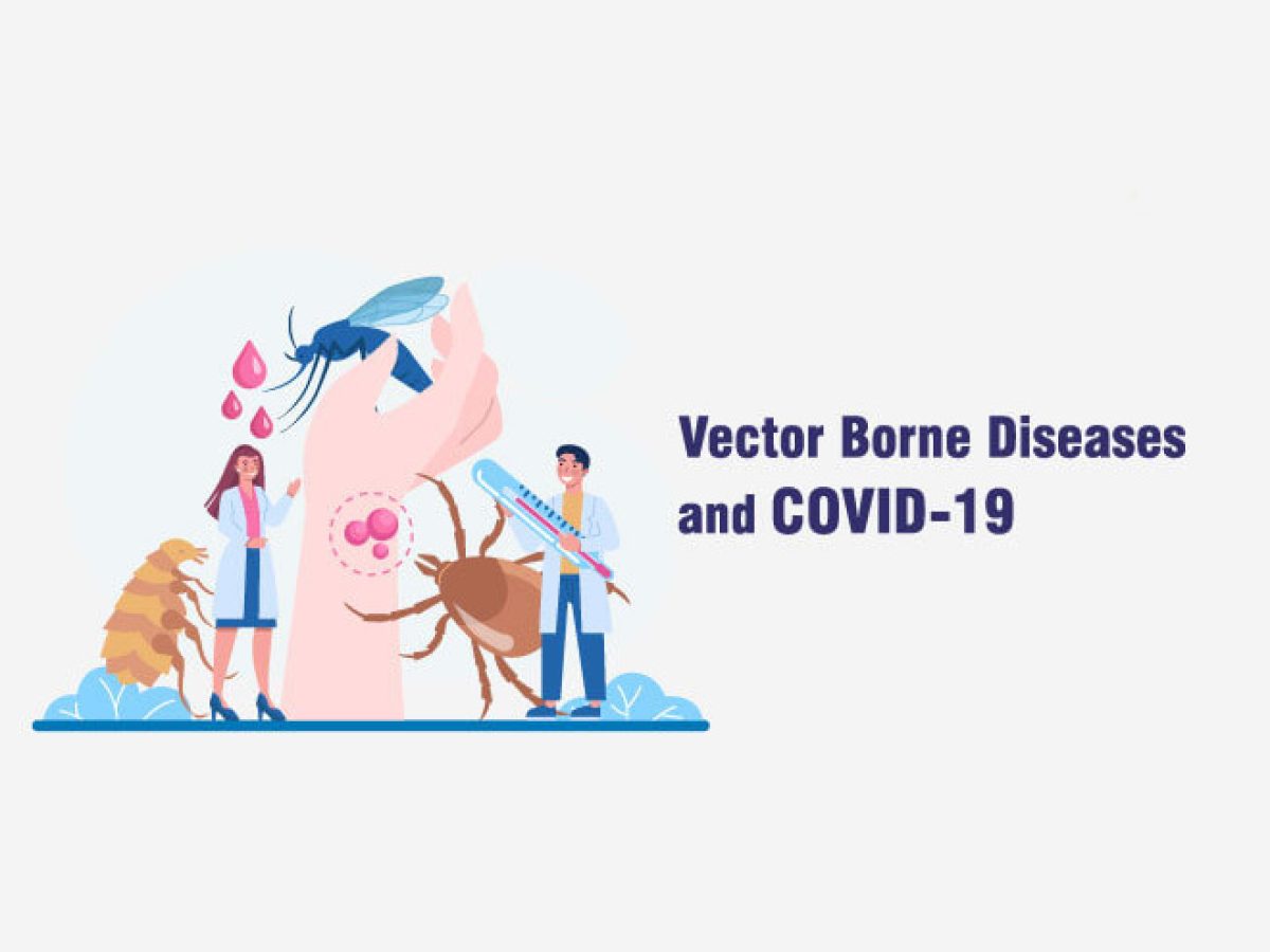 Outstanding Water Related Vector Borne Diseases Pics 909 Water Borne