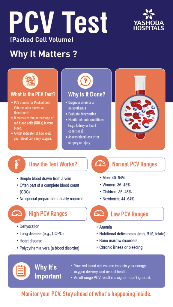 What is PCV Test and its Uses, Test Results, and Normal Range?