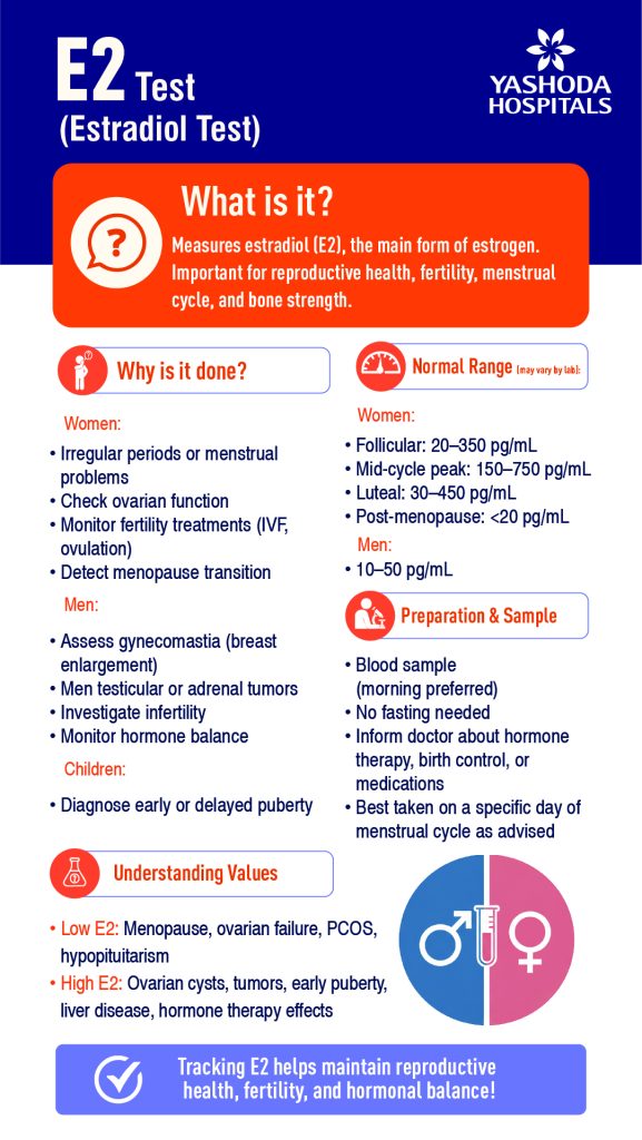 Qu'est-ce que le test d'estradiol (E2) et ses utilisations, ses ...