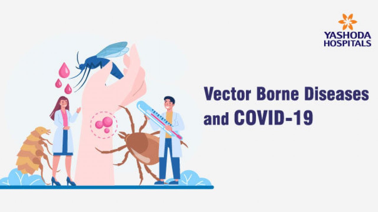 What Are Vectors Of Diseases
