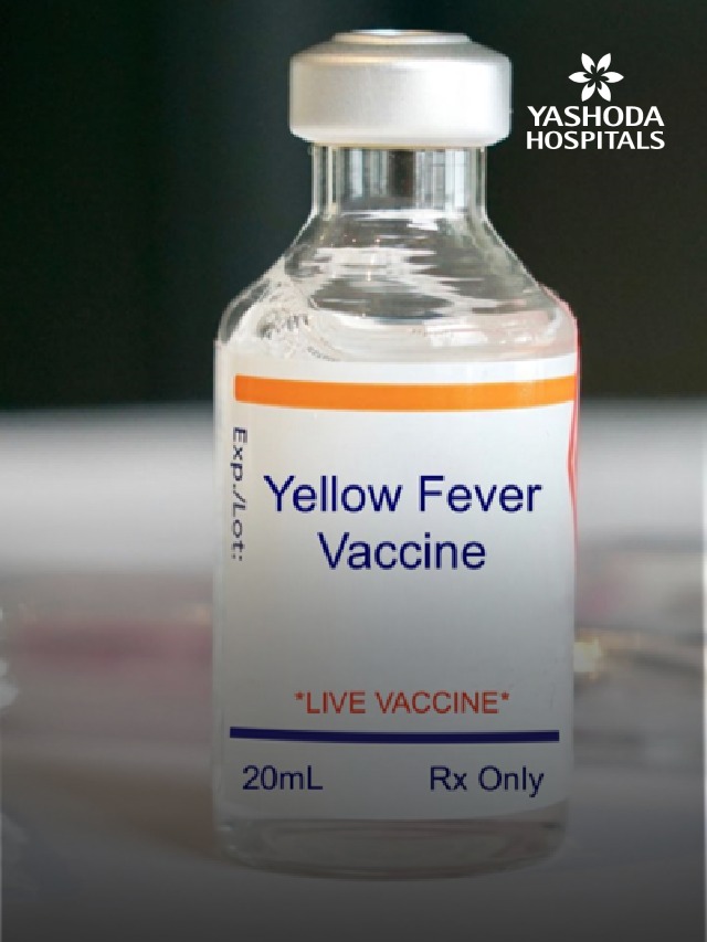 Yellow Fever: Know the Risks & Protect Yourself - Yashoda Hospitals